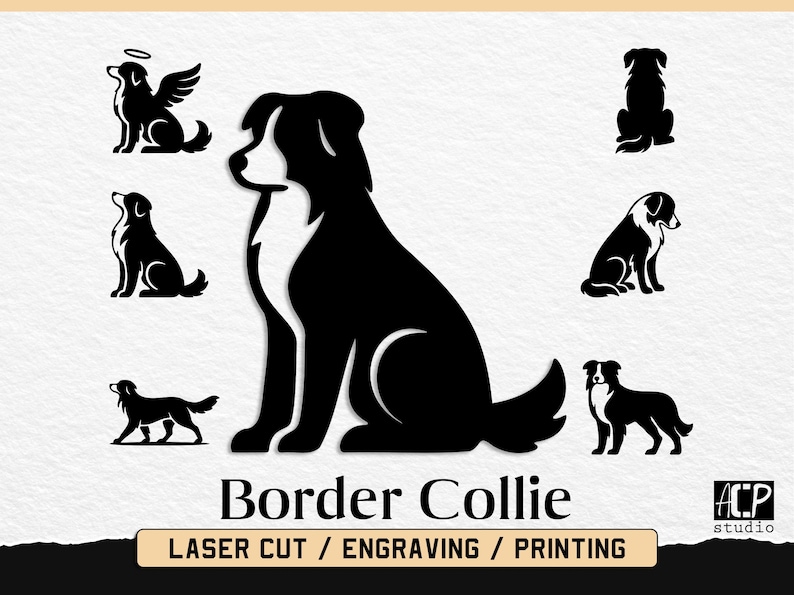 Border Collie Dxf - Border Collie Dog SVG & PNG Clipart: Single Cut Out ...