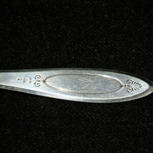 Community Silverplate, adam Casserole Spoon, Free USA Shipping - Etsy