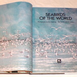 Seabirds of the World, Vintage Book, First Edition - Etsy