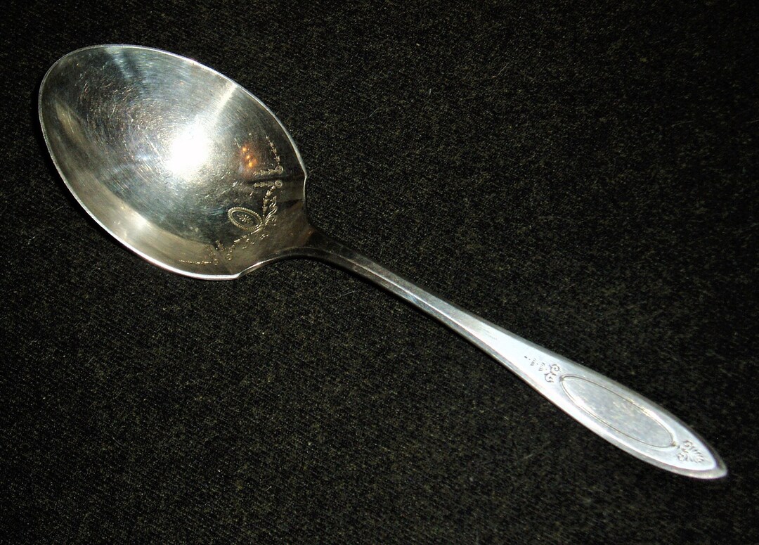 Community Silverplate, adam Casserole Spoon, Free USA Shipping - Etsy