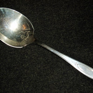 Community Silverplate, adam Casserole Spoon, Free USA Shipping - Etsy