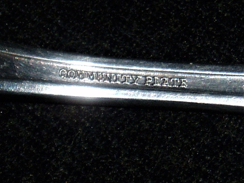 Community Silverplate adam Casserole Spoon Free | Etsy