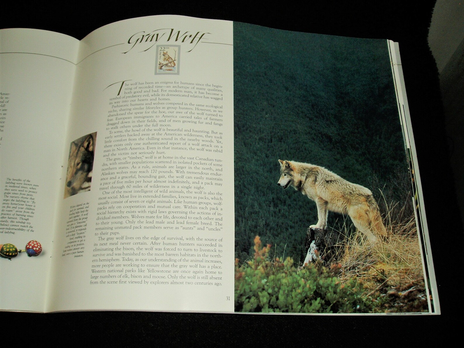 USPS Book Wildlife America With Mint Sheet of 50 Stamps | Etsy