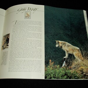 USPS Book, Wildlife America, With Mint Sheet of 50 Stamps, Scott #2286a ...