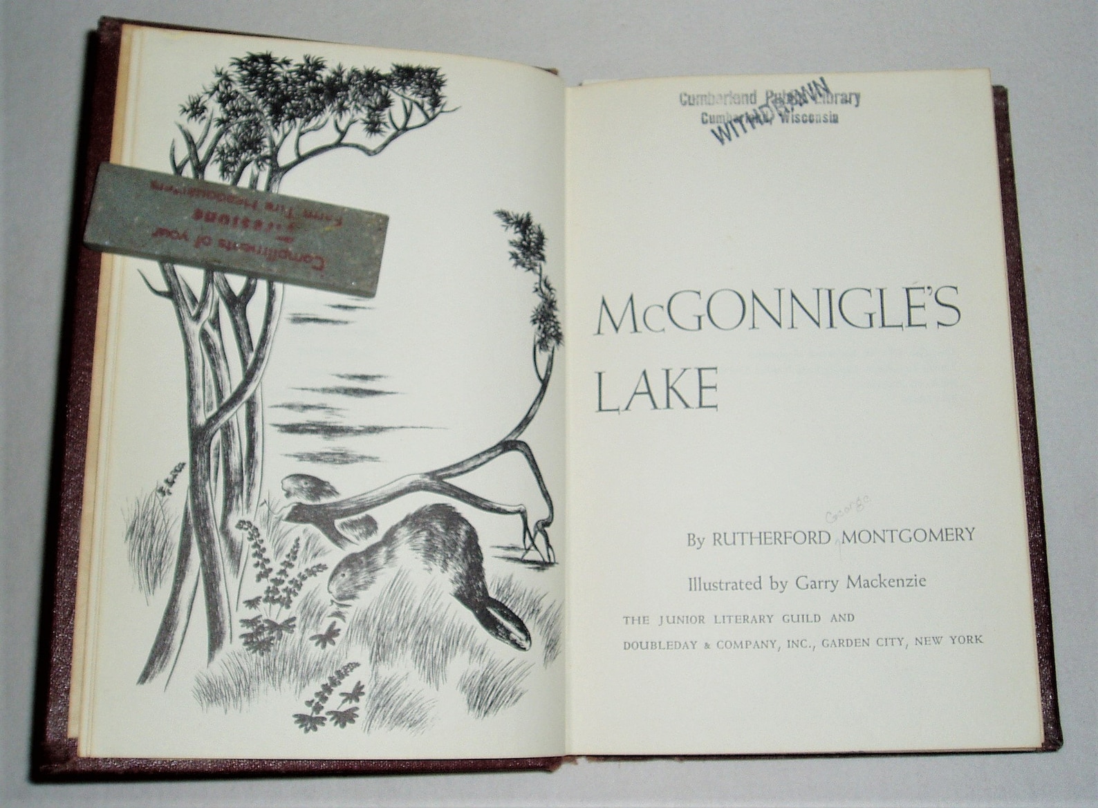 First Edition Mcgonnigle's Lake Rutherford Montgomery - Etsy