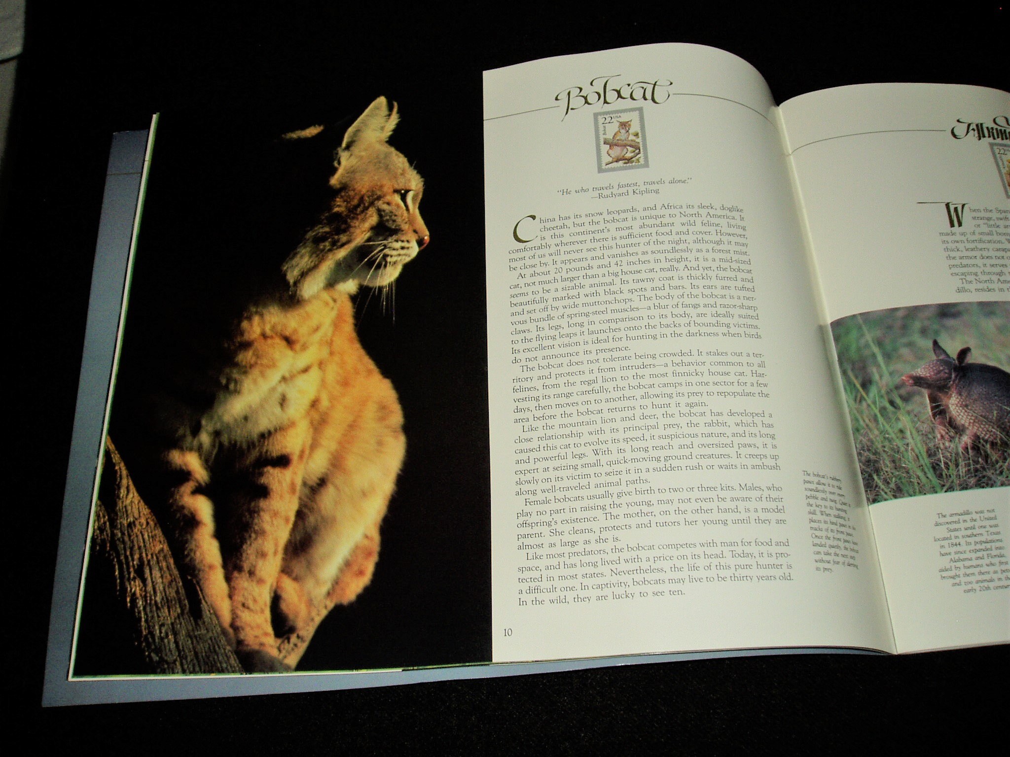 USPS Book Wildlife America With Mint Sheet of 50 Stamps | Etsy