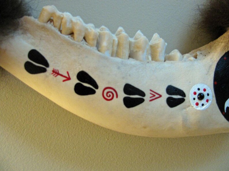 Buffalo War Club White Buffalo Buffalo Jaw Bone Bone Art | Etsy