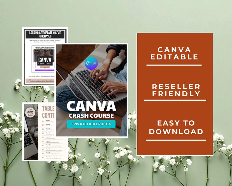 Canva Crash Course, Digital Marketing Basics (editable Templates ...