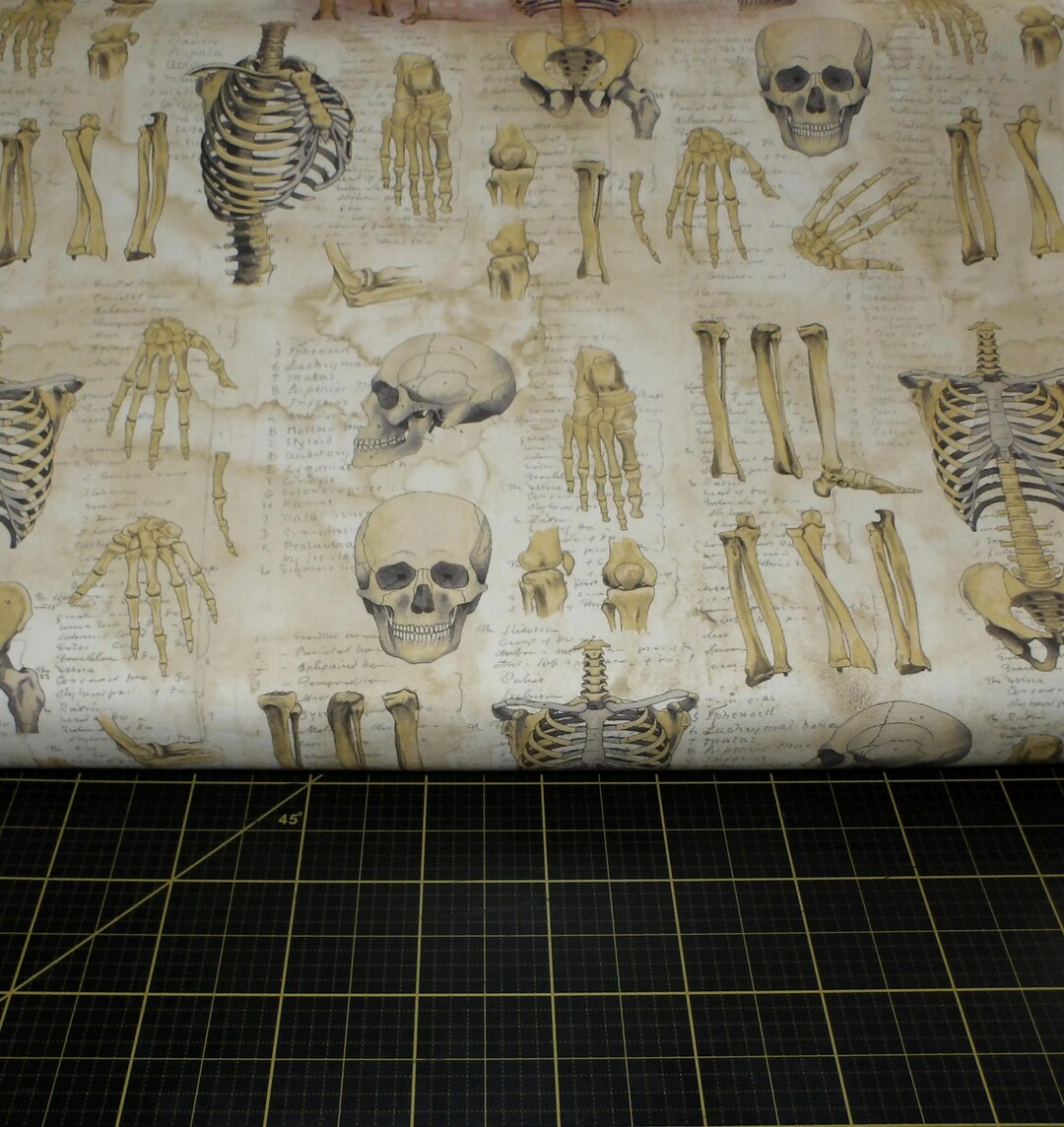 Free Spirit. Laboratory. Anatomy CANVAS Neutral 44 Inch Wide - Designed ...
