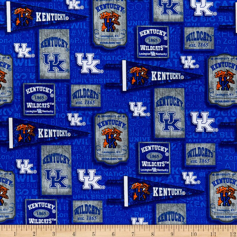 Sykel Enterprises. NCAA Kentucky Wildcats Vintage Pennant - Etsy