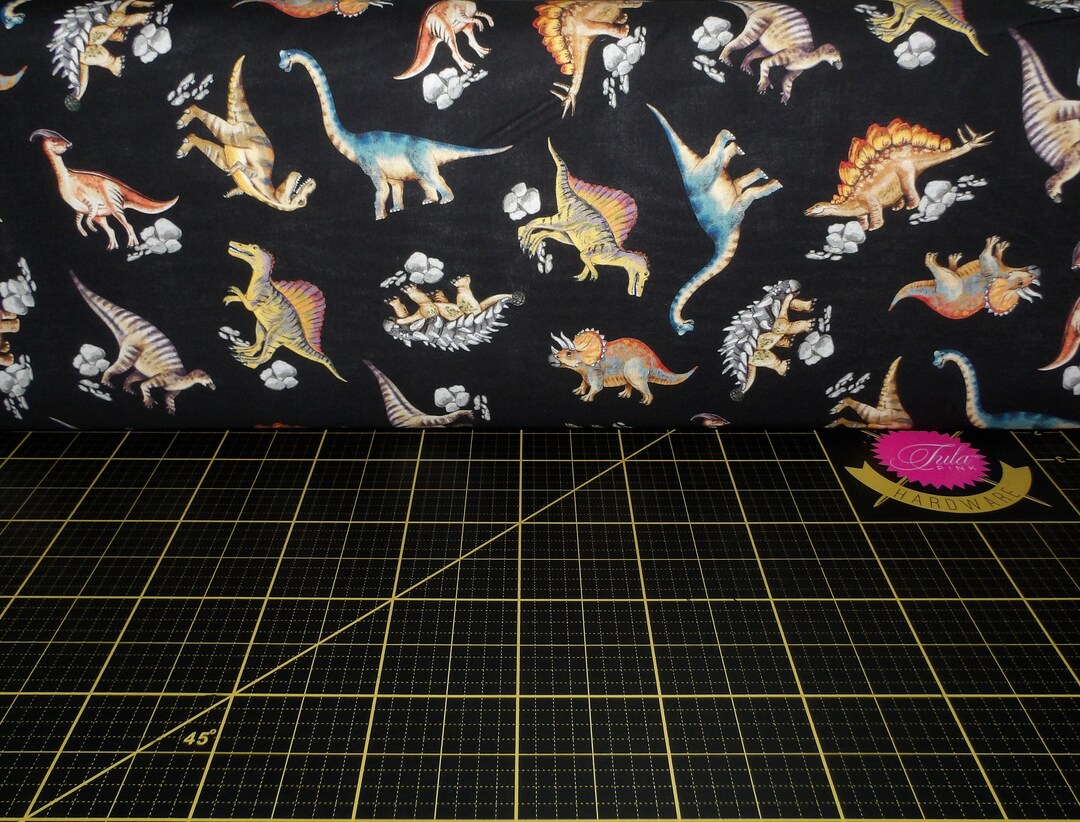 Michael Miller. Dinosaurs, Dinosaurs. Dinomighty Black DIGITALLY ...
