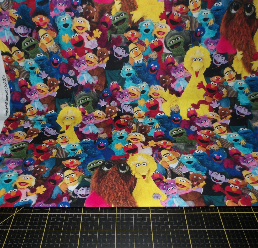 QT Fabrics. Sesame Street. Characters Allover Multi - Etsy