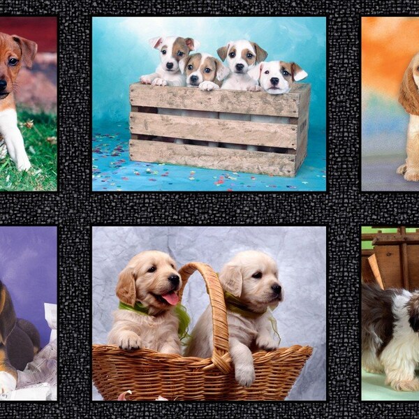 Dog Fabric Panels - Etsy