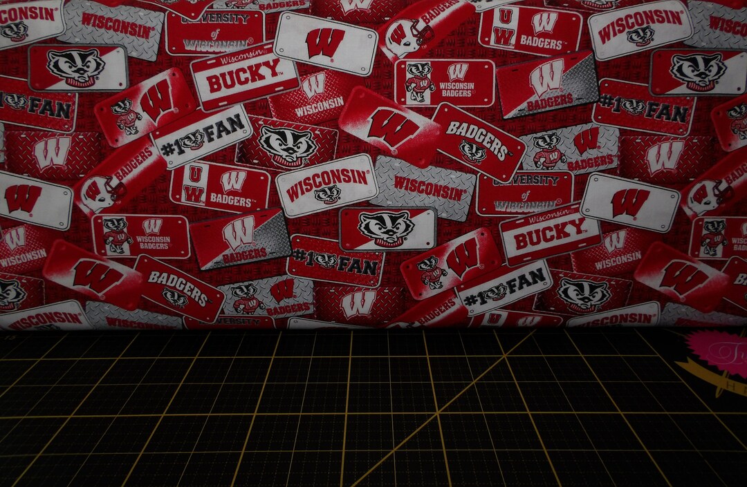 Sykel Enterprises. NCAA Wisconsin Badgers License Plate 44/45 - Etsy