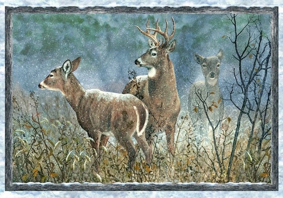 Wilmington Prints. Winter Whispers. Dear Panel 30 Panel - Etsy