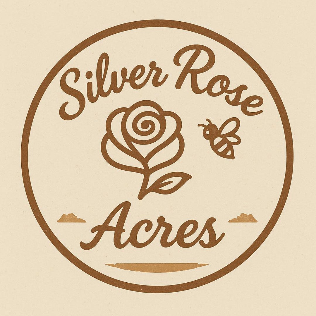 Logos, Tshirt Designs and Country Sheik - Etsy