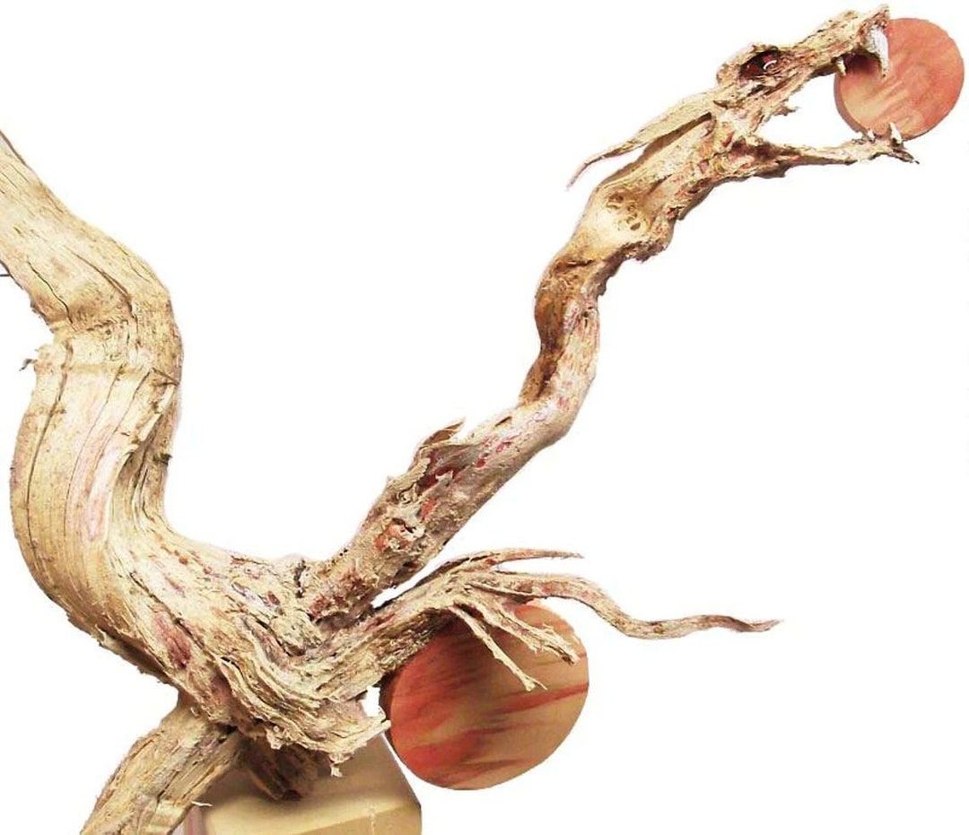 Wood Carving Sculpture Dragon Fire Circle Original Rick Cain Fantasy ...