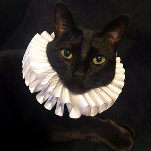 Cat Pet Dog Costume White Ruffled Collar Neck Ruff Victorian Steampunk ...
