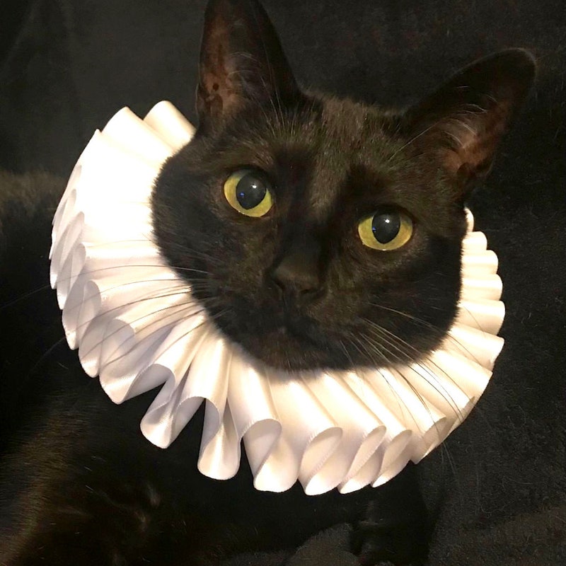 Neck Ruffle for Cat - Etsy
