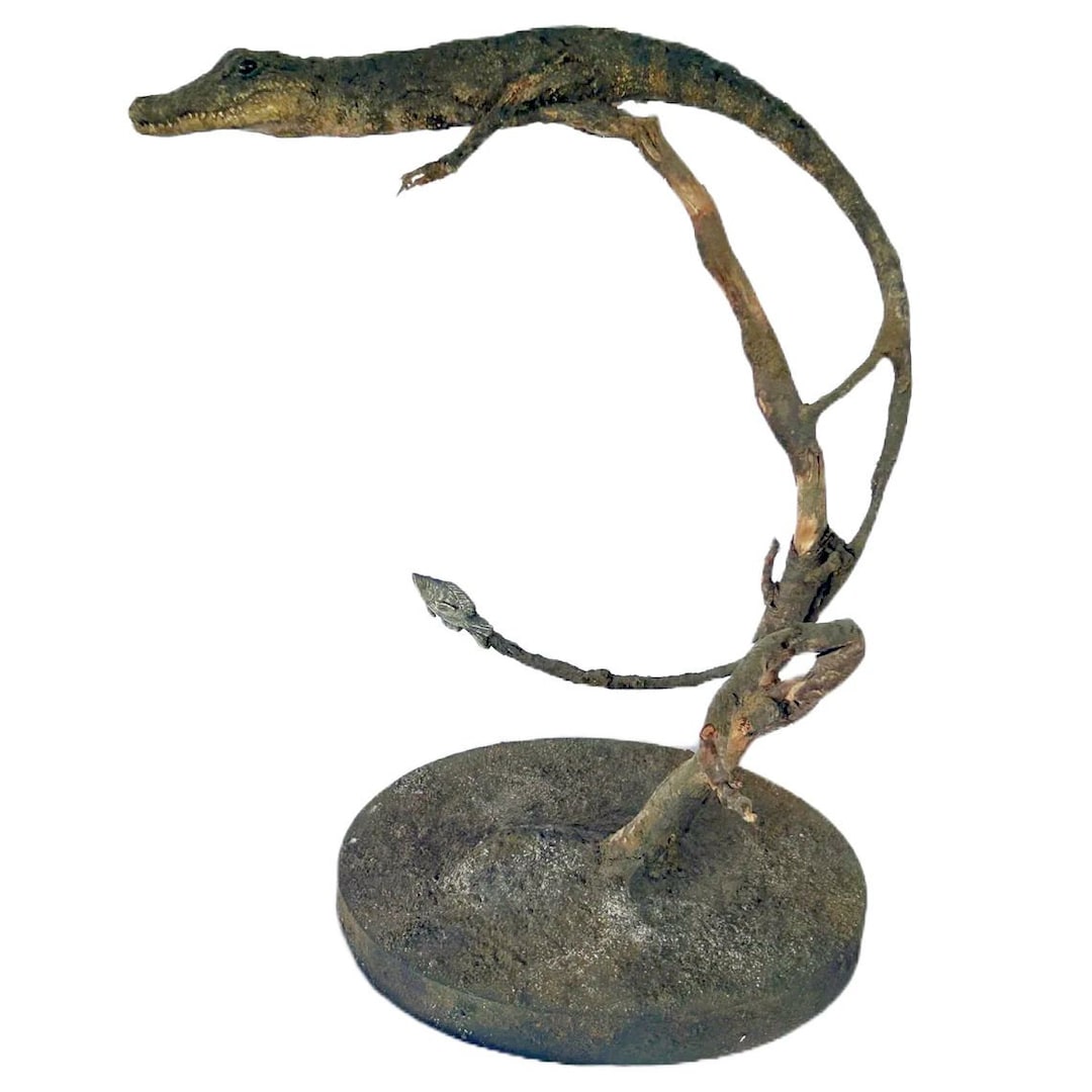 Wood Carving Sculpture Gator Sonar Fish Original Rick Cain Florida ...