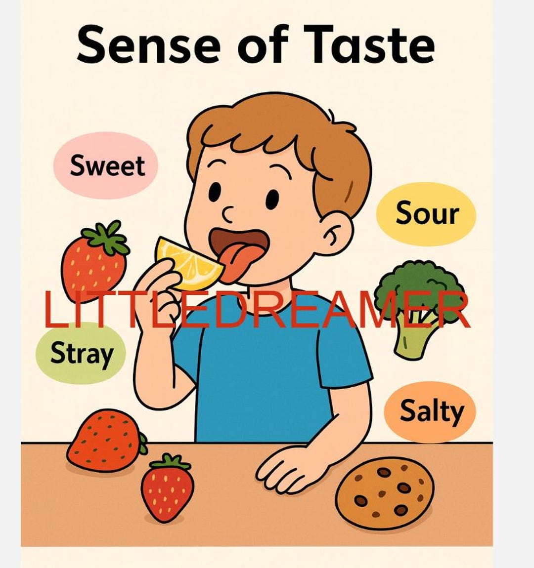 Five Senses Learning Activity: Printable Worksheets for Preschool (PDF ...