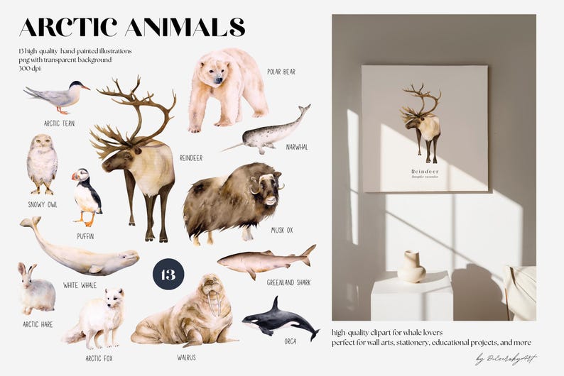 Watercolor Arctic Animals Clipart PNG - Reindeer, Walrus, Polar Bear ...