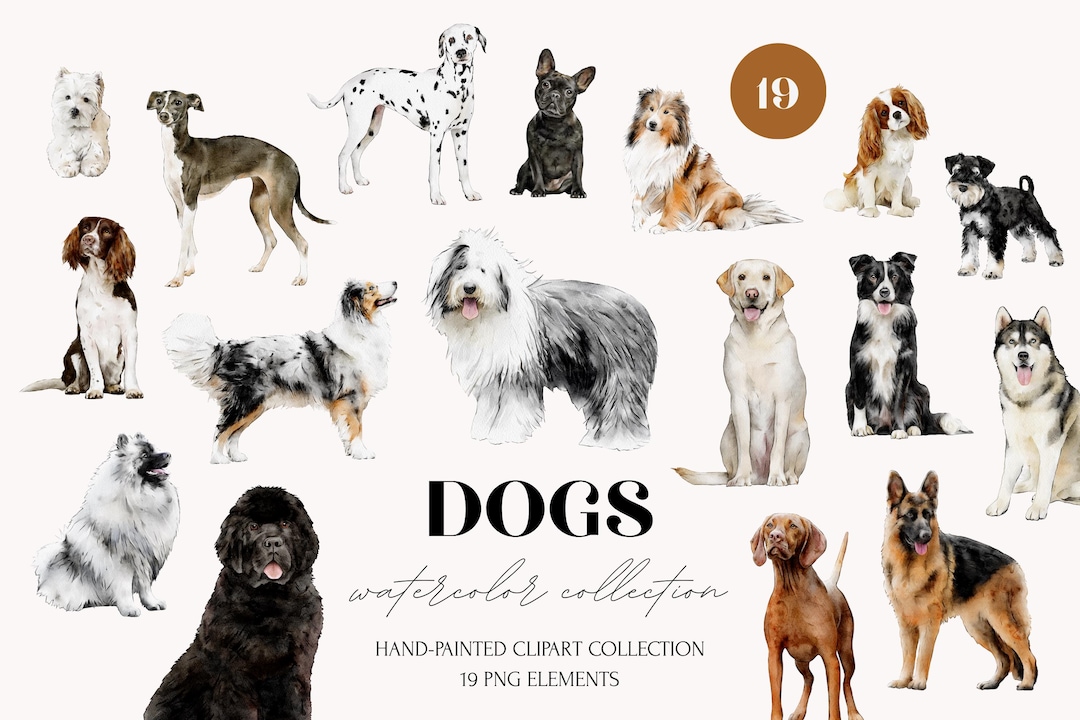 Watercolor Dog Clipart Set: 19 Breeds (PNG Digital Download - Etsy