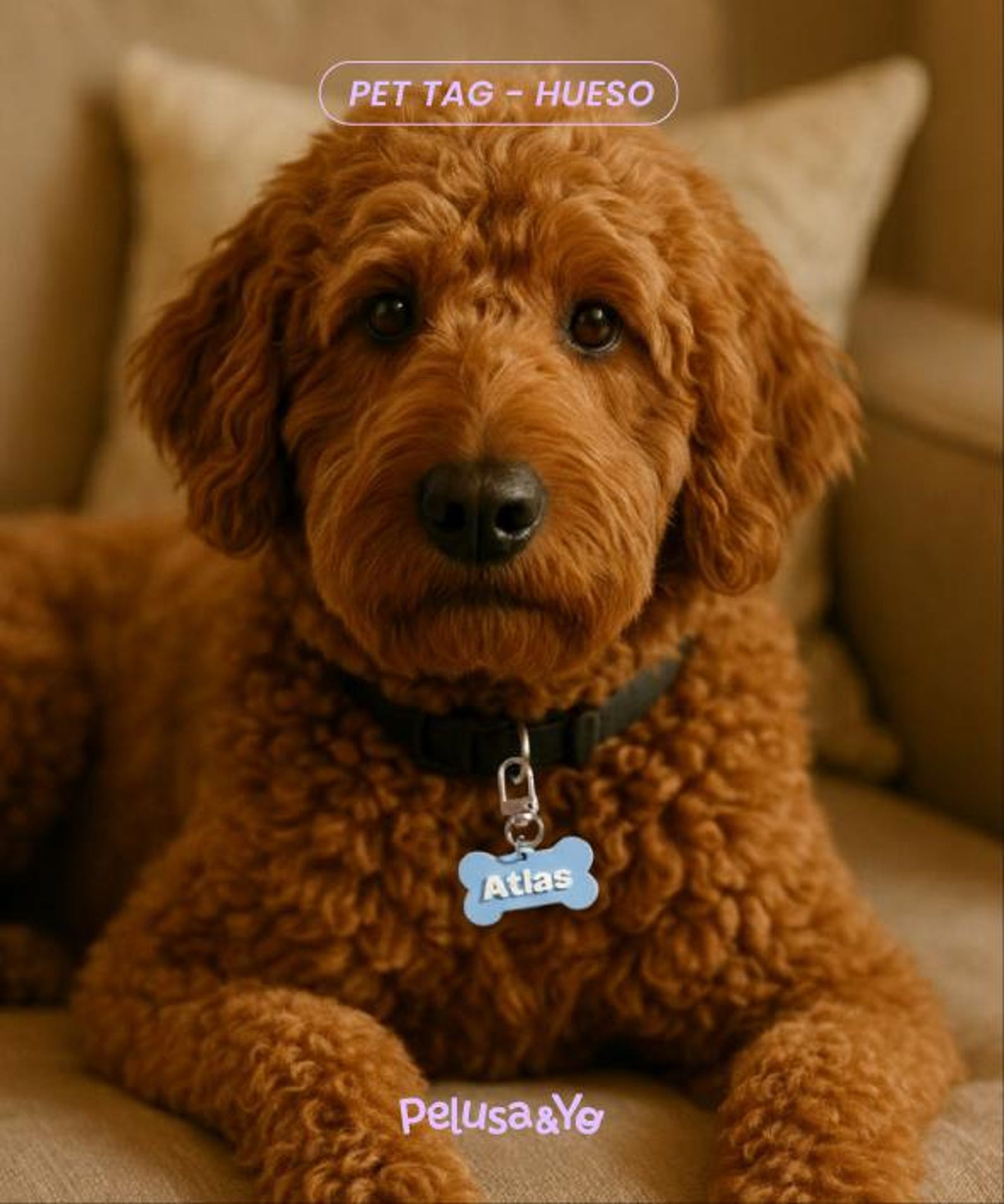 Personalized Bone Pet Tag | 3D Printed Dog Name Tag | Custom Dog ID Tag ...