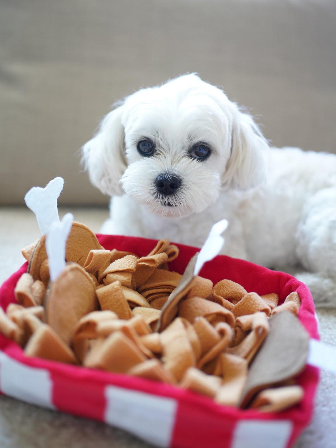 Crispy Chicken Drumstick Snuffle Mat for Engaging Pet Foraging ...