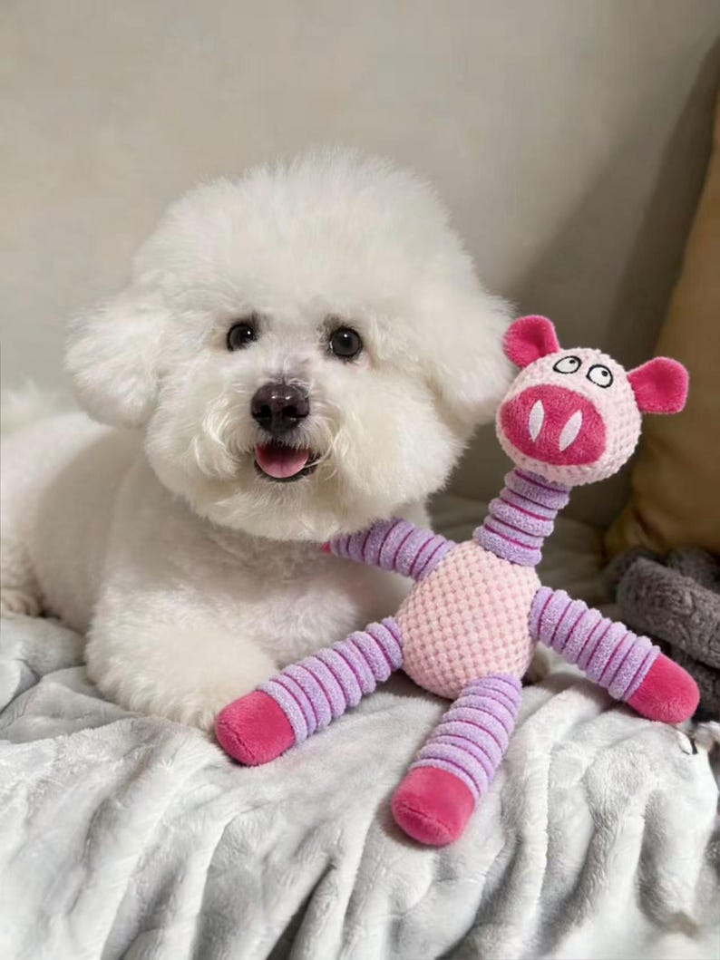 Large Squeaky Piggy Toy - Interactive Durable Tug Plush for Big Dogs - Etsy