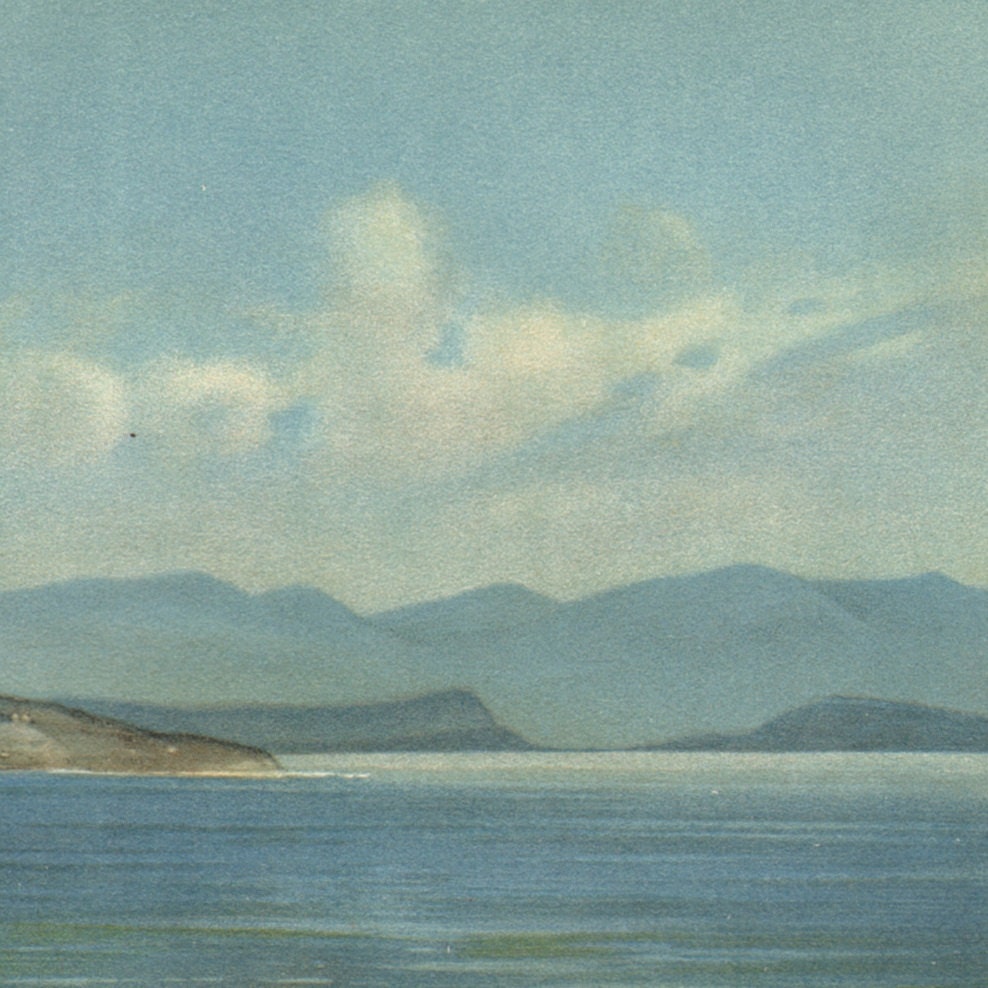 Original 1890 antique Colour lithography print of algae samples aquatic ...