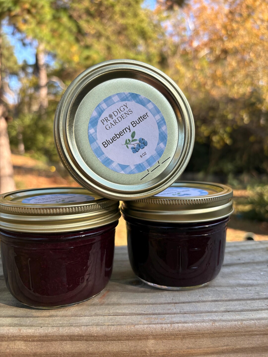 Blueberry Butter | Shelf Stable | 8 OZ - Etsy