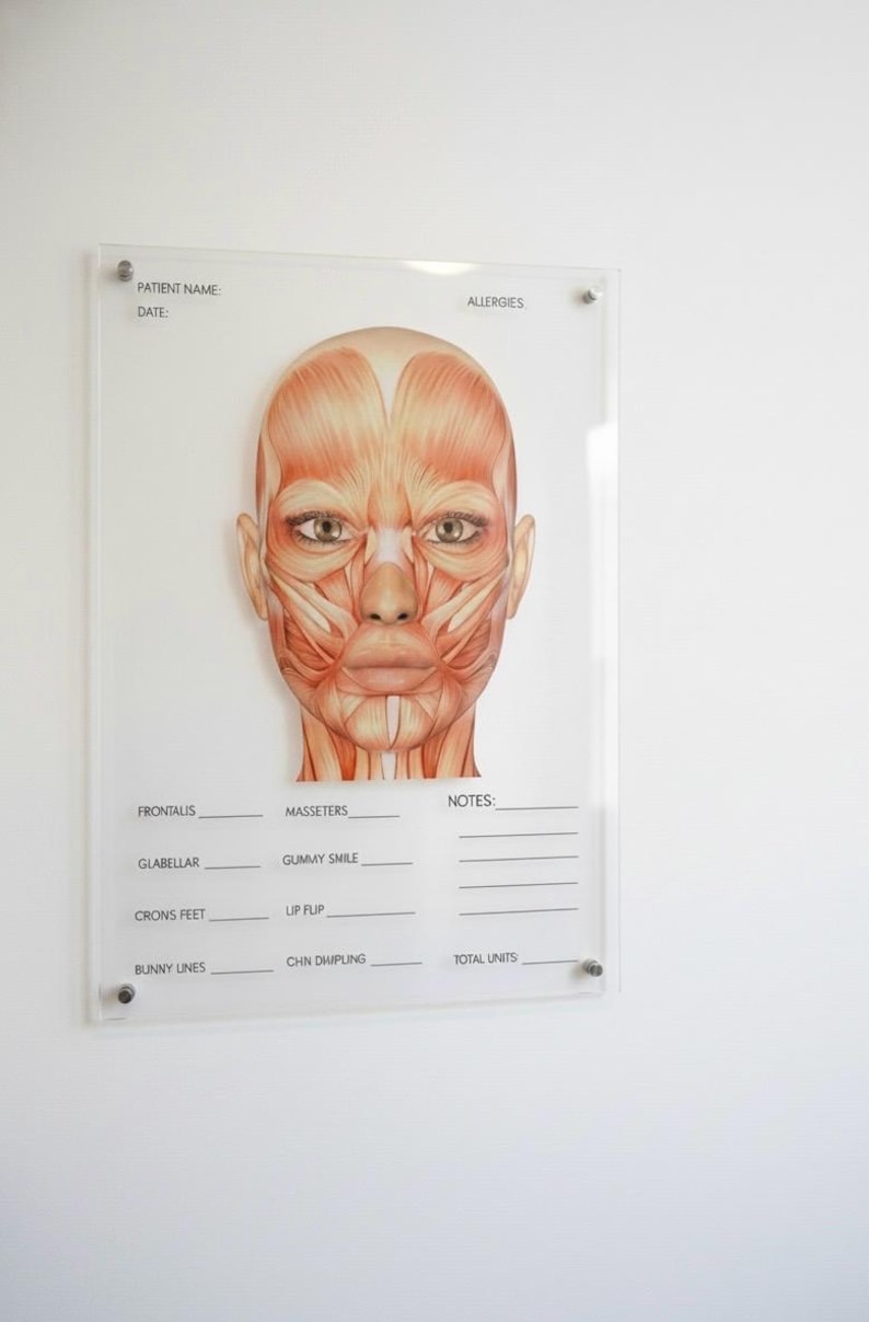 Botox & Filler Face Anatomy Chart | Injector Training Tool (PDF ...
