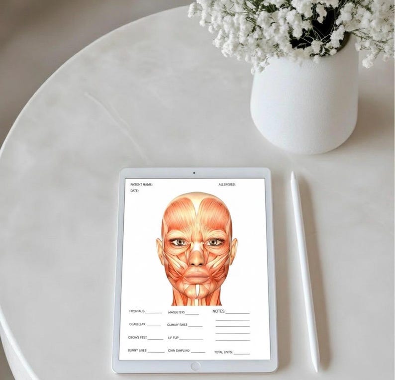 Botox & Filler Face Anatomy Chart | Injector Training Tool (PDF ...