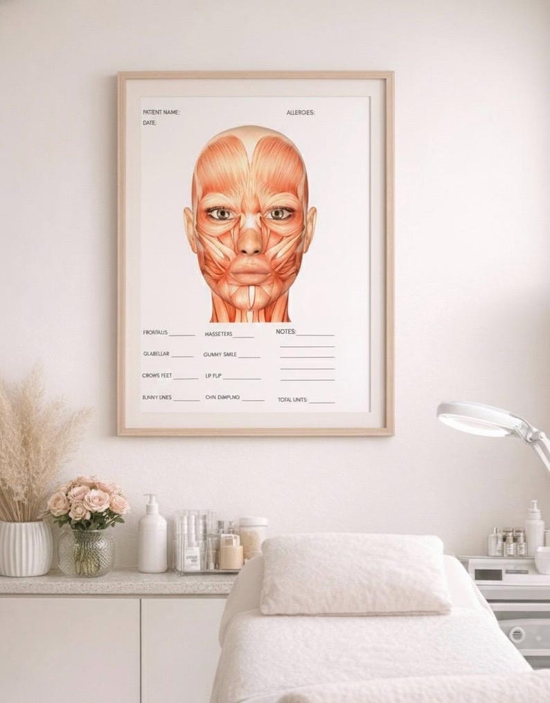 Botox & Filler Face Anatomy Chart | Injector Training Tool (PDF ...