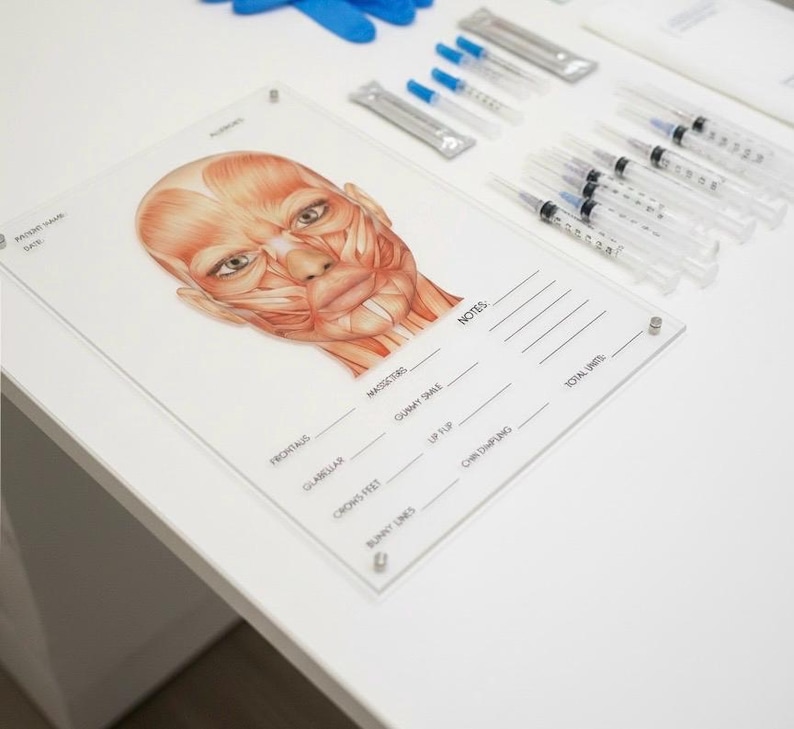 Botox & Filler Face Anatomy Chart | Injector Training Tool (PDF ...