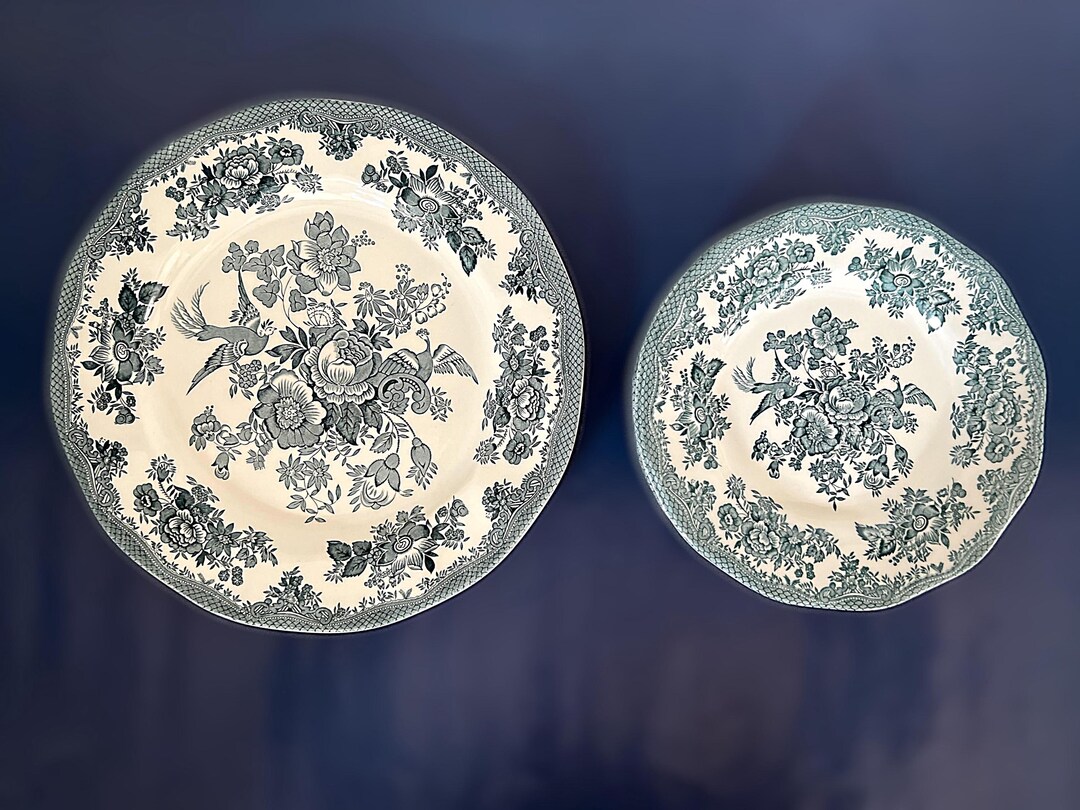 Enoch Wedgwood Asiatic Pheasants Teal/petrol Cake Set - 9pcs - Etsy