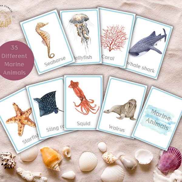 Ocean Montessori Preschool - Etsy