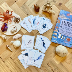 Ocean Printable Marine Life Flash Cards - Etsy