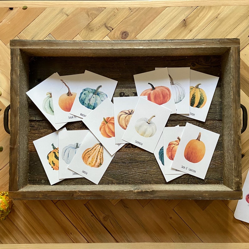 Fall Printable Pumpkin Poster Pumpkin Flashcards Halloween Printable - Etsy