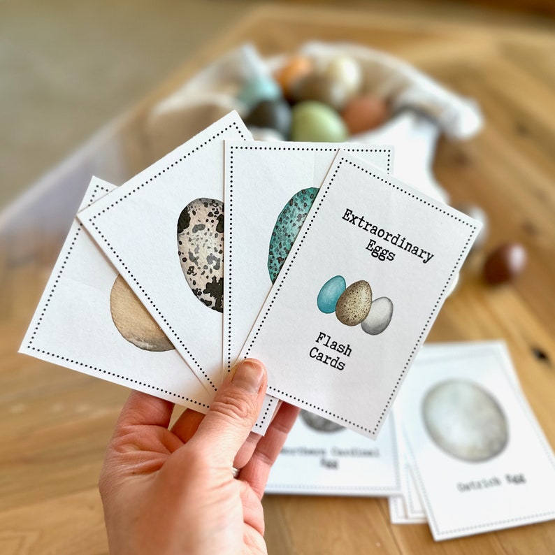 Spring Printable Flash Cards Easter Egg Lesson Montessori Egg Nature ...