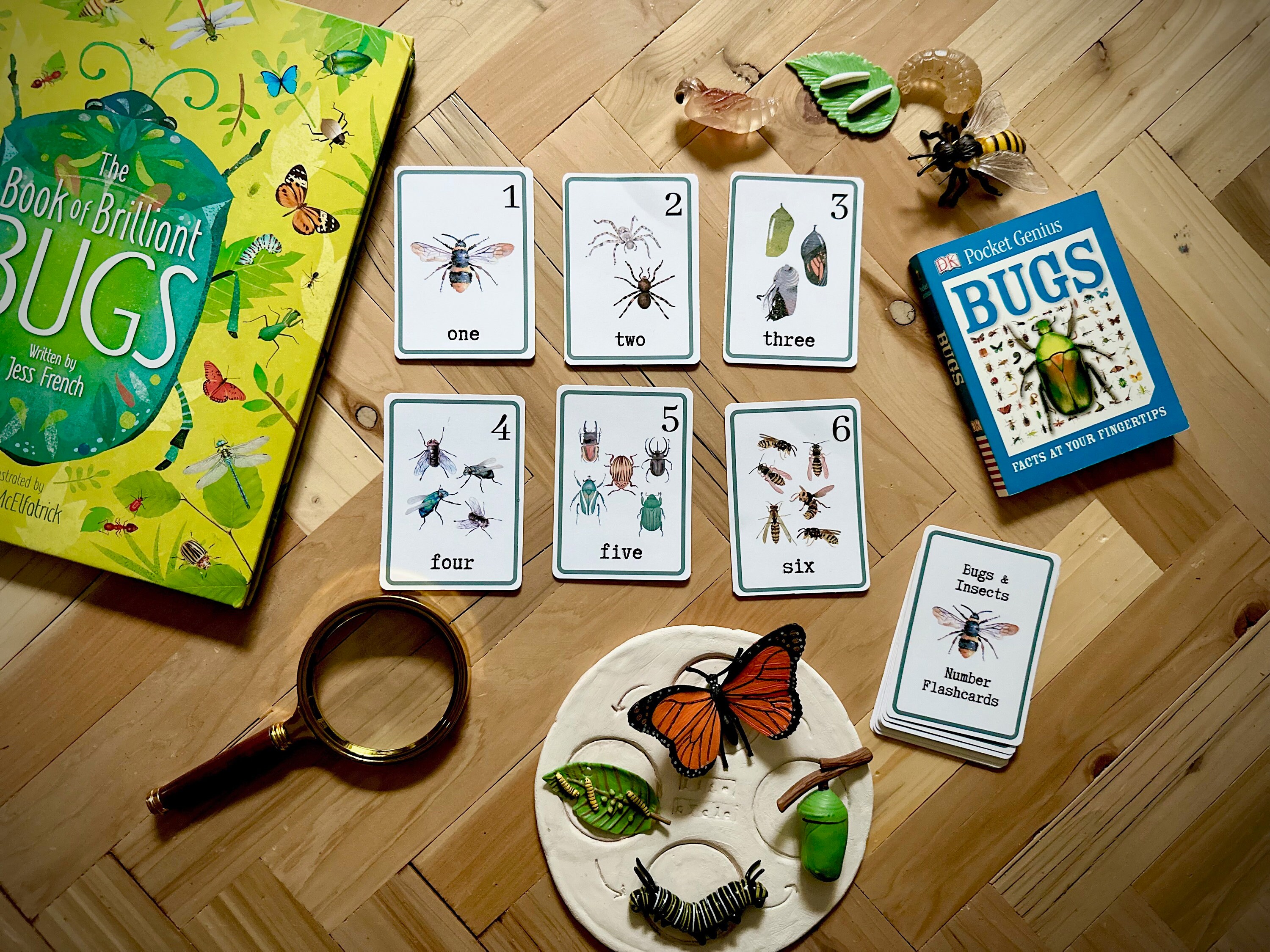 Number Flash Cards Charlotte Mason Bugs Insects Printable Kindergarten ...