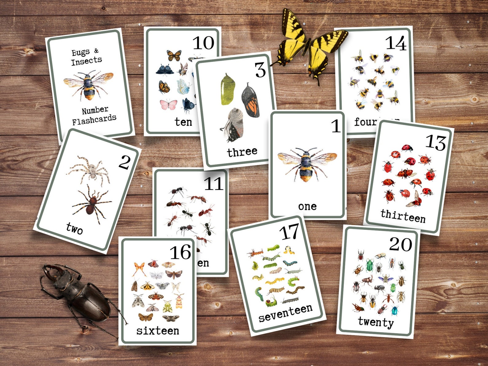 Flash Cards Number Printable Kindergarten Flash Cards Preschool Bugs ...