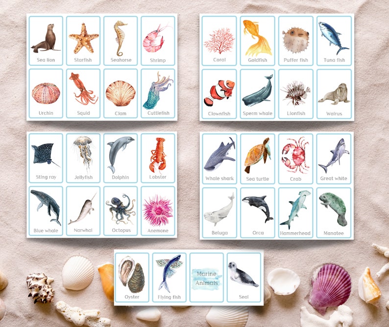 Ocean Printable Marine Life Flash Cards - Etsy