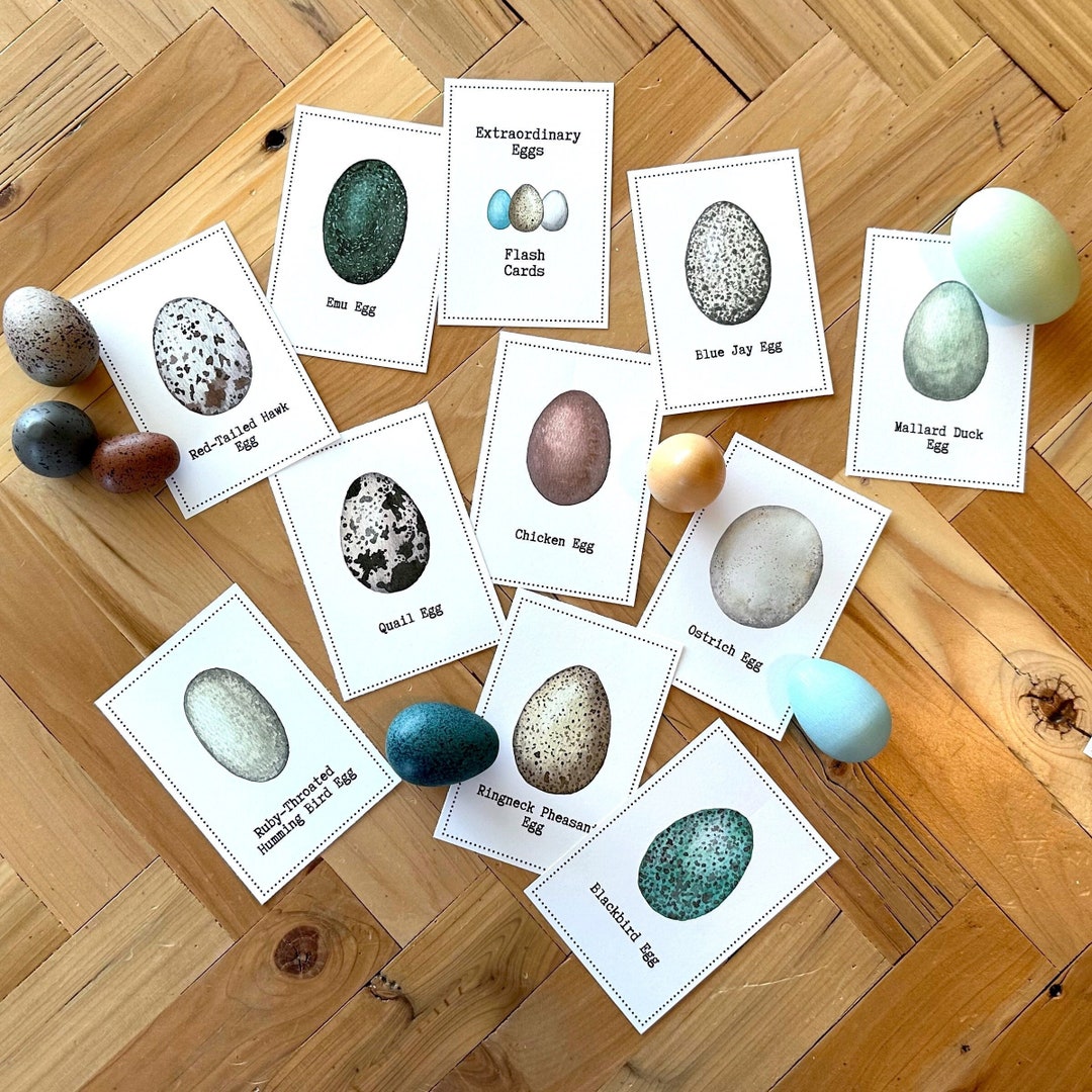 Spring Printable Flash Cards Easter Egg Lesson Montessori Egg Nature ...