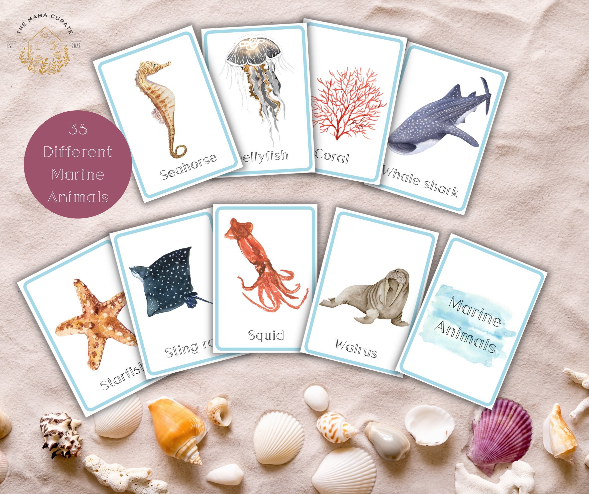 Editable Marine Life Flashcards Ocean Printable Digital Download ...