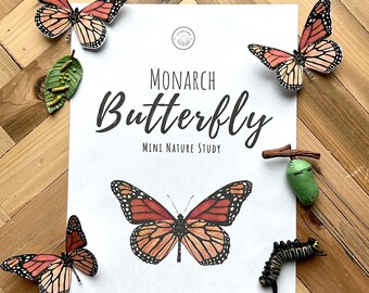 Monarch Butterfly Life Cycle Unit Study Nature Homeschool Curriculum ...