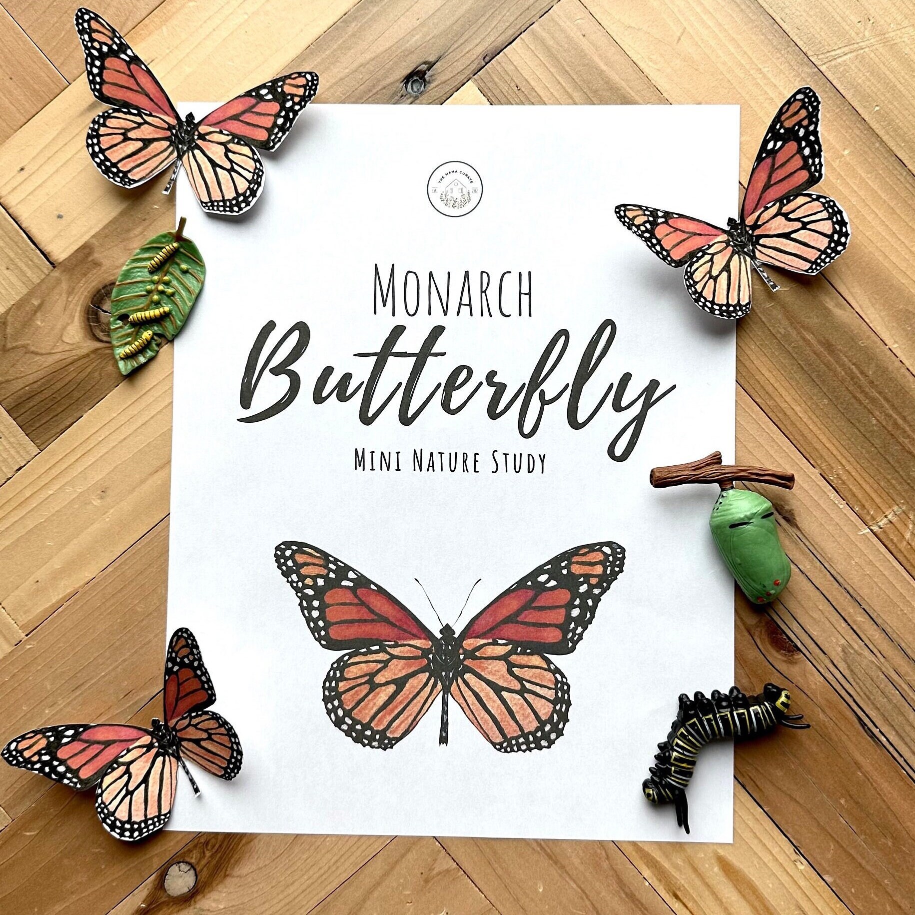 Butterfly Printable Monarch Bundle - Etsy