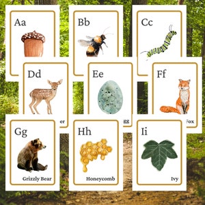 Alphabet Banner Kindergarten Bunting Charlotte Mason Nature Posters ...