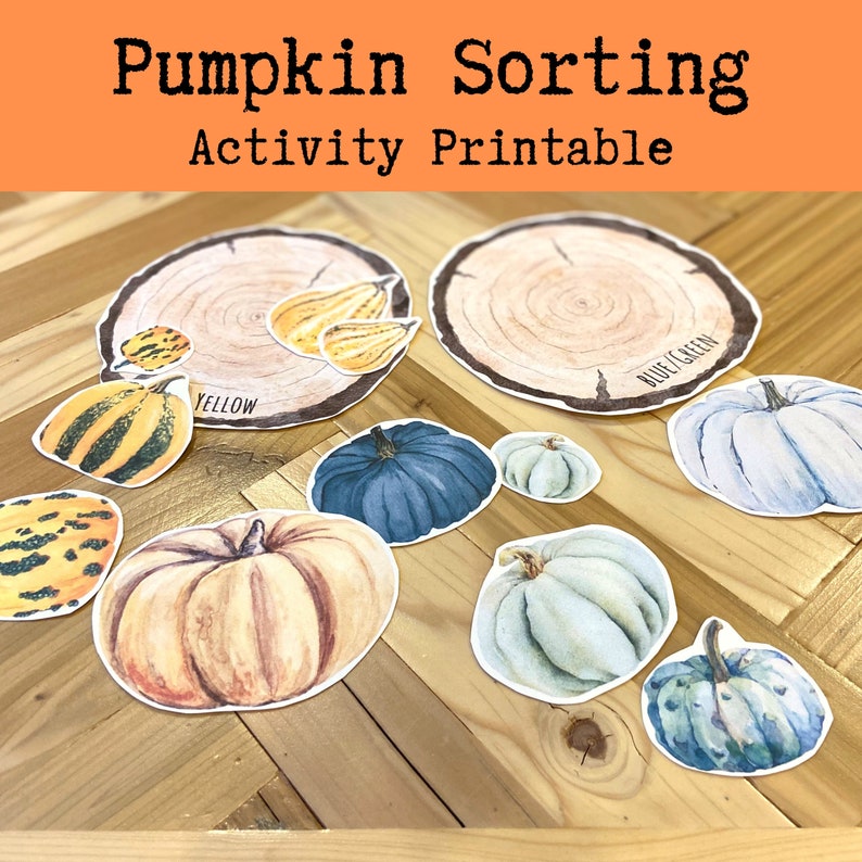 Pumpkin Printable Pumpkin Color Sorting - Etsy